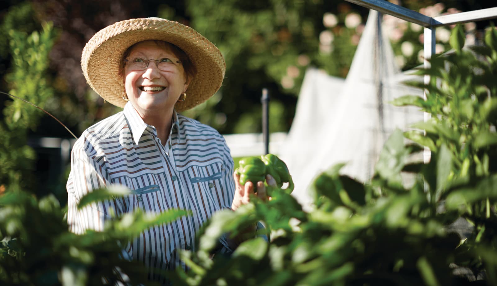 Emeri’s Garden: Where Magic Blooms | De Bortoli Wines