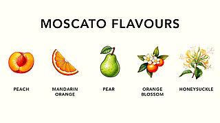 Moscato Guide - De Bortoli Wine | De Bortoli Wines