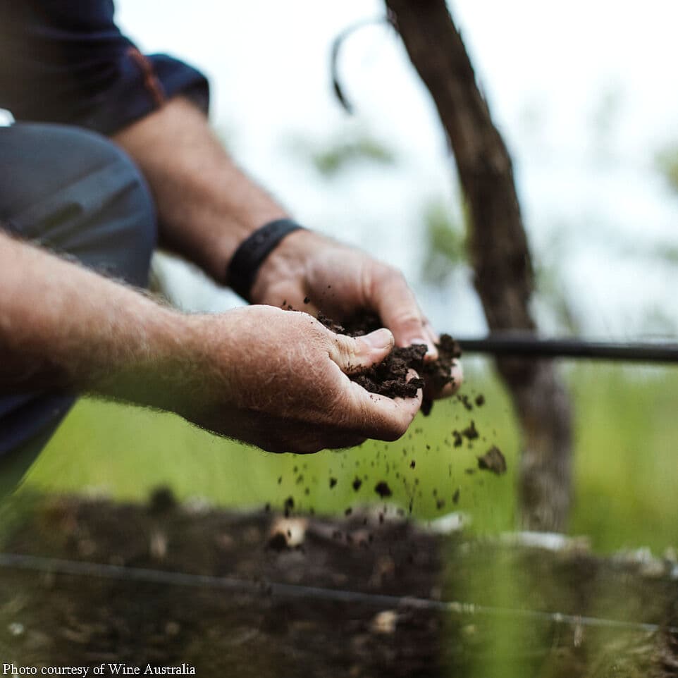 Biological Farming | De Bortoli Wines