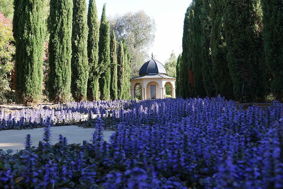 Emeri’s Garden: Where Magic Blooms | De Bortoli Wines