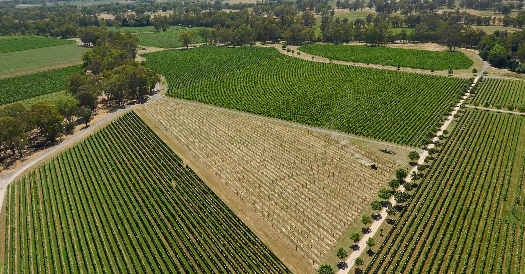 De Bortoli Wines | Wine Makers & Wine Vineyard | De Bortoli Wines